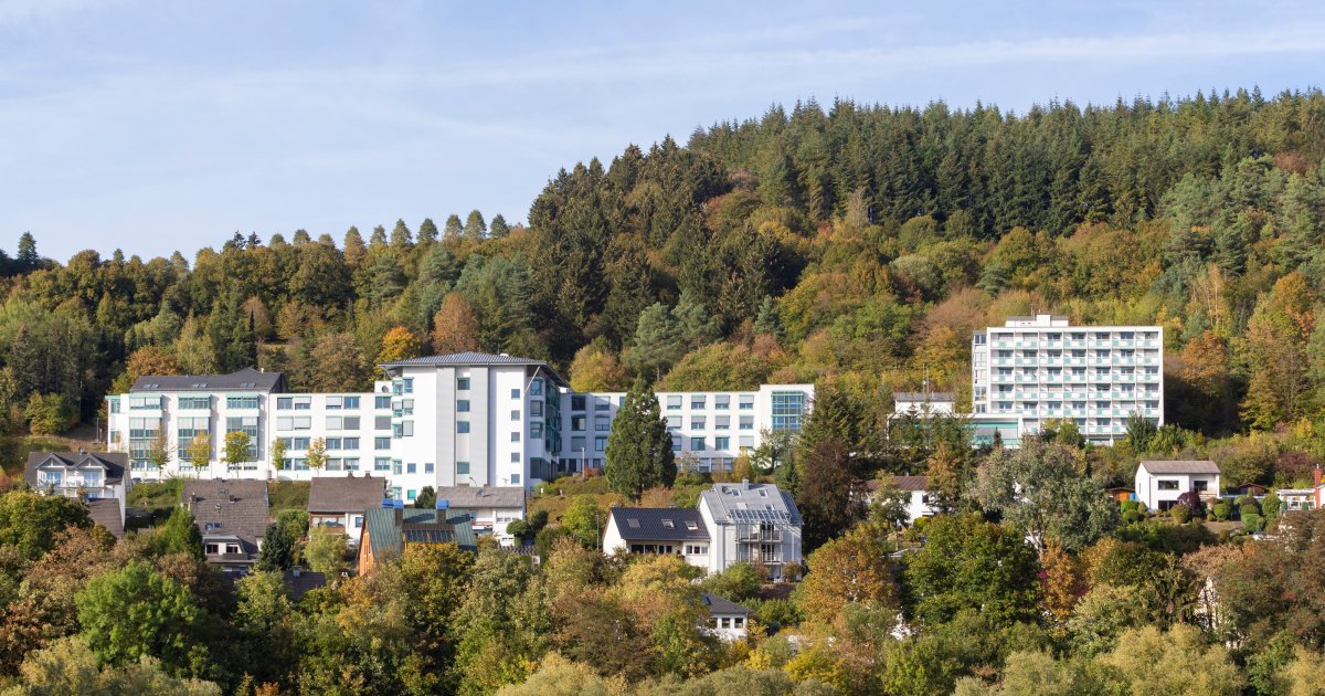Resolution zur stationären Grundversorgung in der Verbandsgemeinde ...